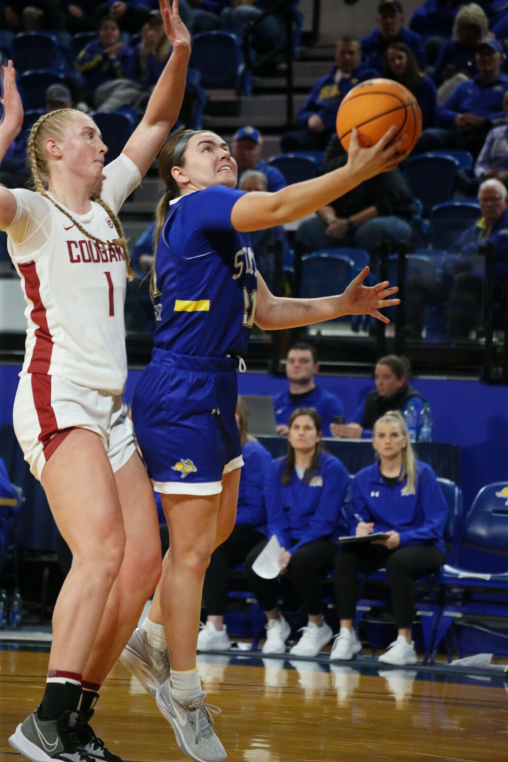 South Dakota State's Paige Meyer garners weekly honor - Brookings Register